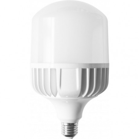 Bombilla LED E27 T100 30W